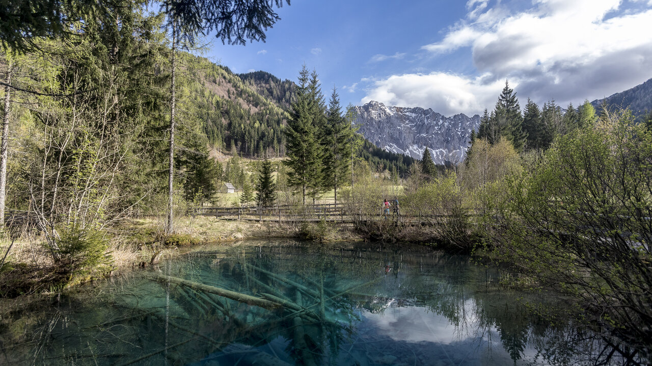 Pop History - A tribute to Carlos Santana